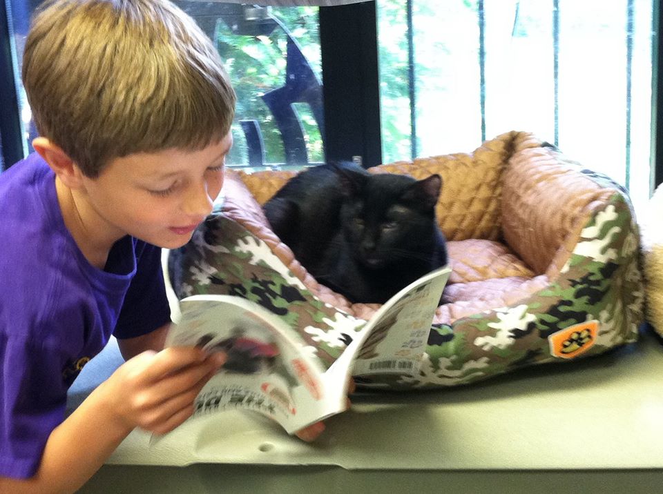 Book Buddies | Humane Society of Greater Dayton