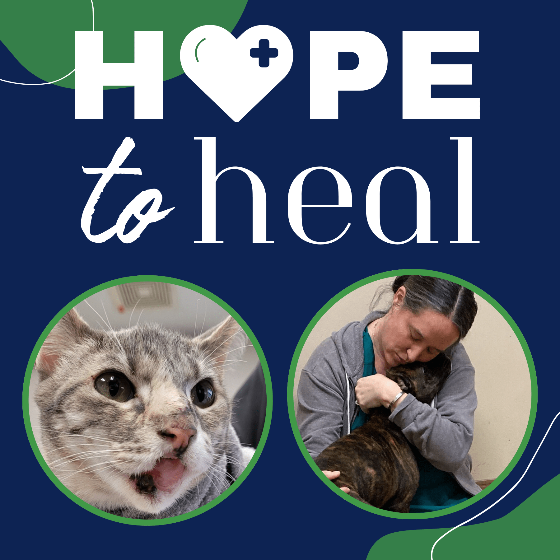 Two Animals Desperately Need Help to Heal | Humane Society of Greater ...