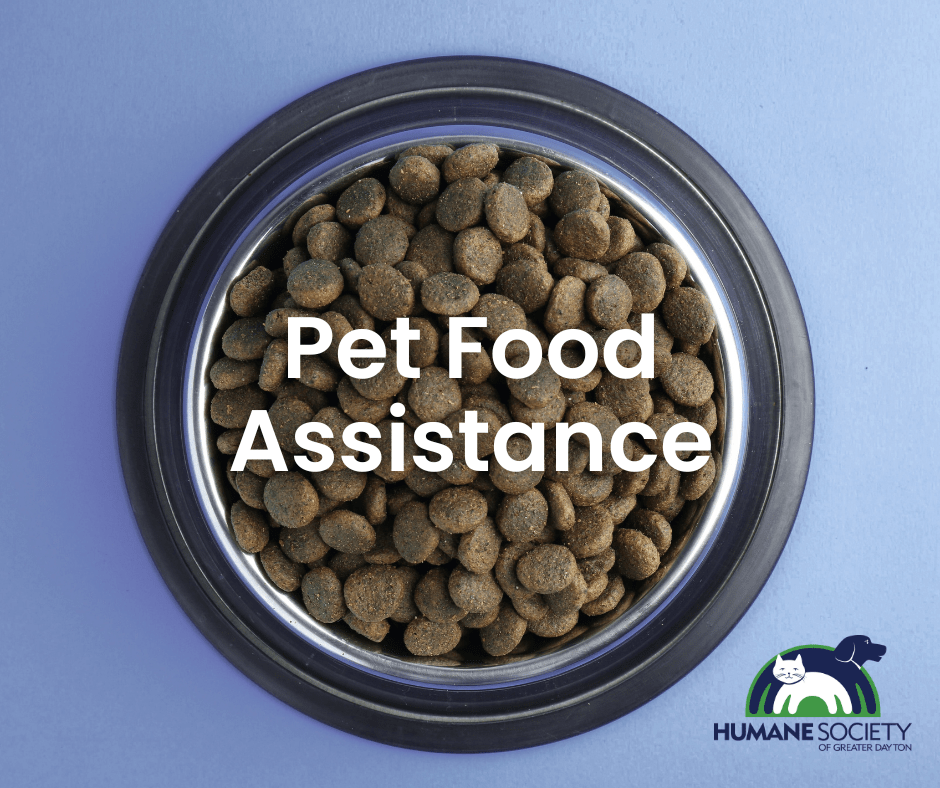 HSGD Offers Support to Pet Owners Impacted by Government Shutdown