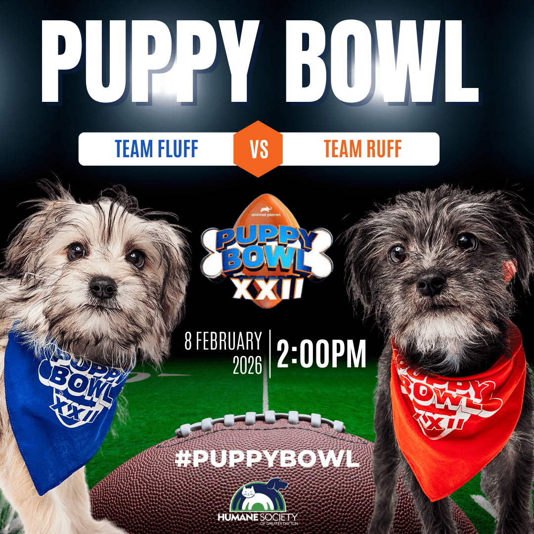 HSGD has 2 Puppies Heading to the 2026 Puppy Bowl